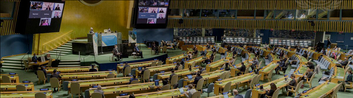 Diplomatic Influence - Upskill Series | IHEID FC